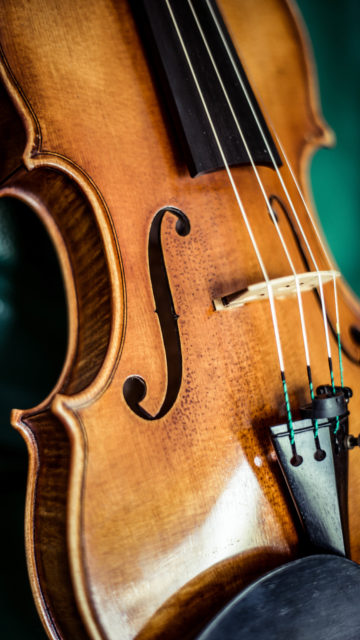 Bratsche – Dom-Musikschule Xanten e.V.